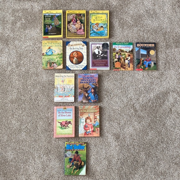 Other | Chapter Books | Poshmark